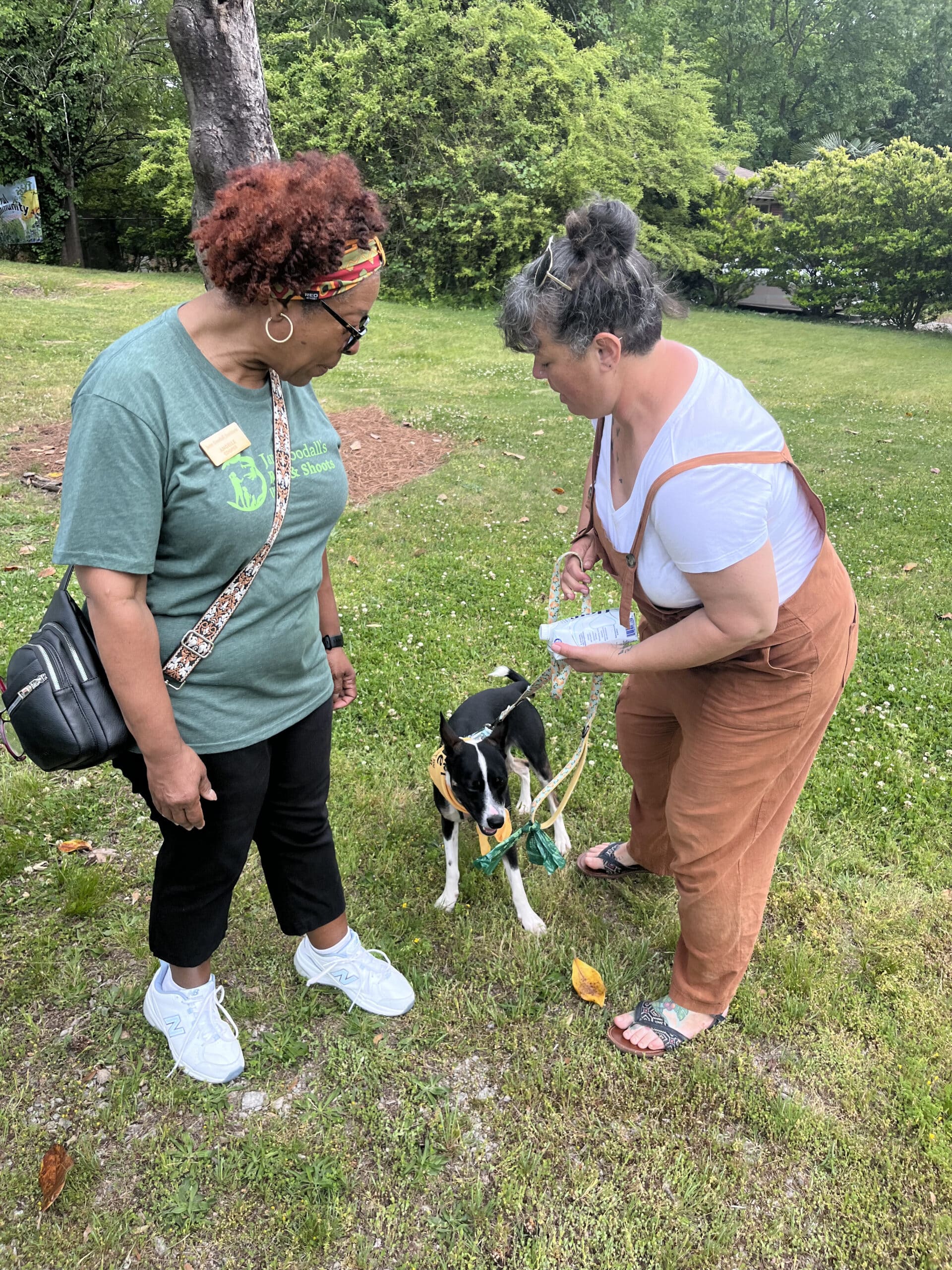 Gallery - Commissioner Long Spears